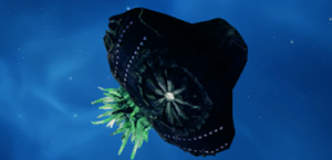 Codex / Inner Scutum-Centaurus Arm / Biological and Geological ...