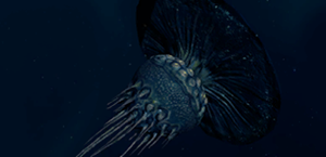 Codex / Inner Scutum-Centaurus Arm / Biological and Geological ...